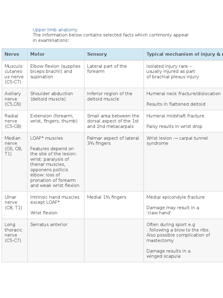 Upper Limb Anatomy: Nerve Motor Sensory Typical Mechanism of Injury ...