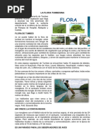 Flora y Fauna de Tumbes | PDF | Naturaleza