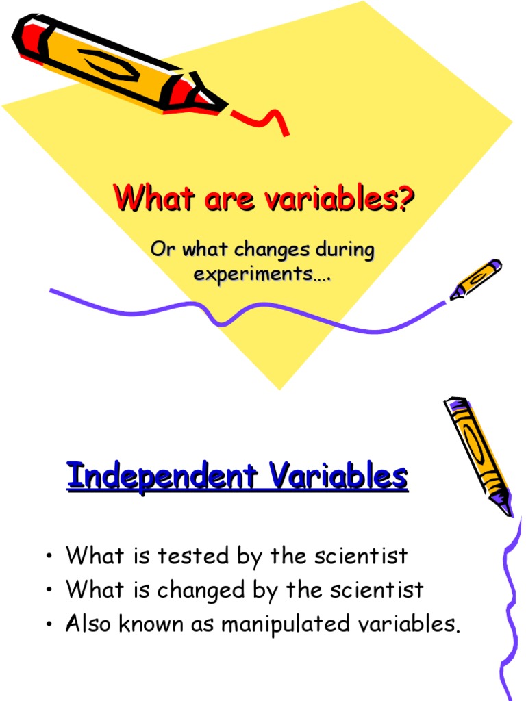 What Are Variables | PDF