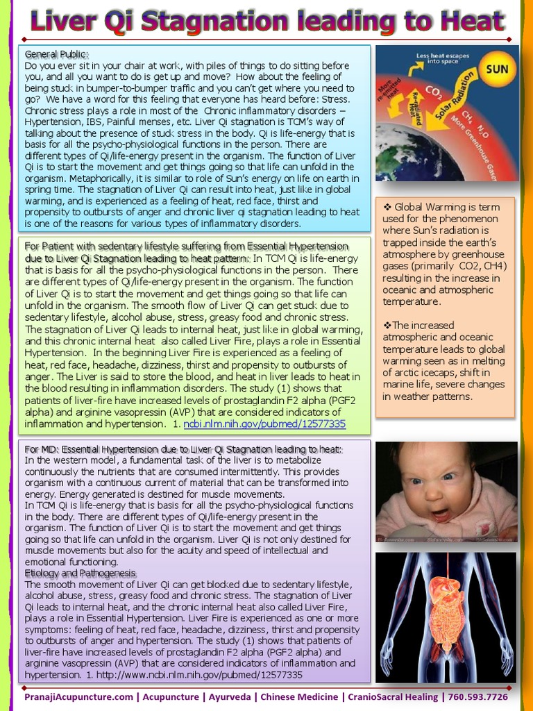 Prana - Liver Qi Stagnation Leading To Heat PDF | PDF