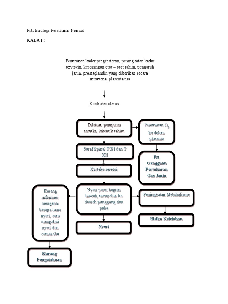 MENGURAI PATOFISIOLOGI PERSALINAN NORMAL | PDF
