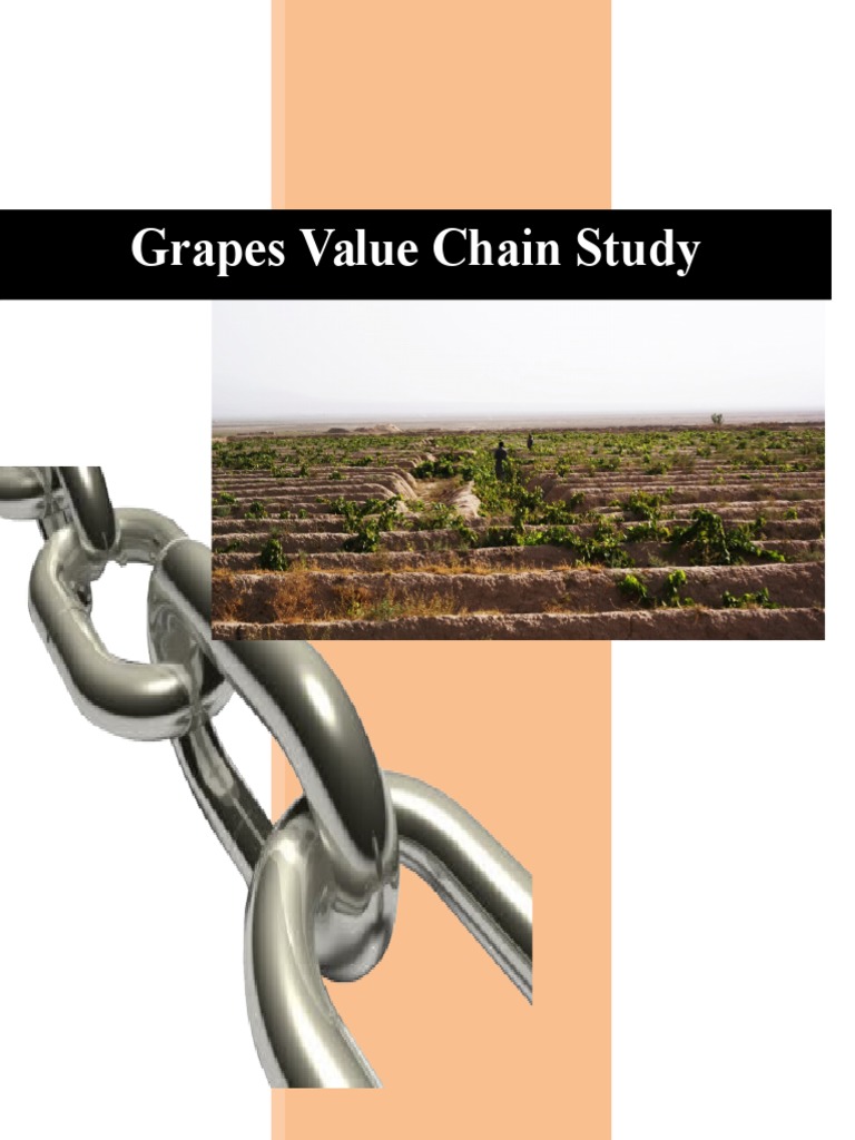 Grapes Value Chain Analysis Docx Updated 13 Jul 16 | PDF | Grape ...
