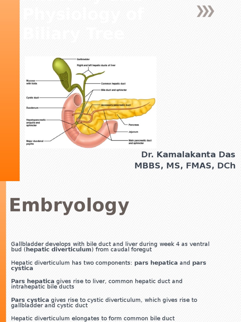 Anatomy and Physiology of Biliary Tree | PDF | Gallbladder | Liver
