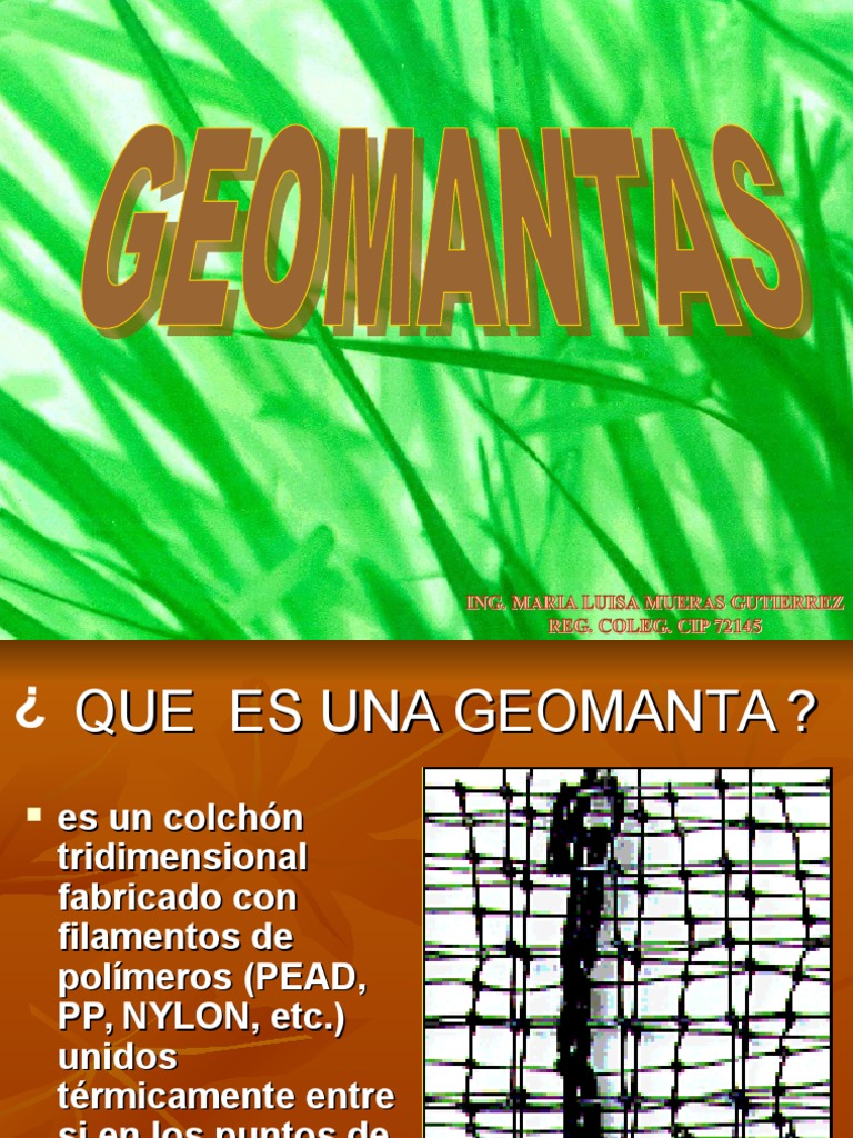 GEOMANTA | PDF | Erosión | Entorno natural