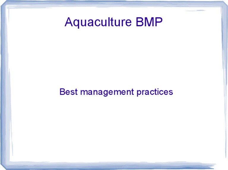 BMP01 | PDF