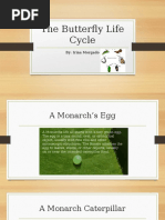 5 The Life of A Butterfly Grade 3 Comprehension Worksheet | PDF ...