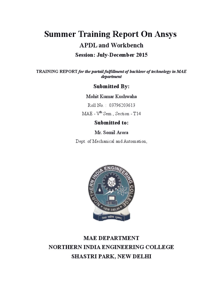 ANSYS Project Report | Finite Element Method | Computer Aided Design