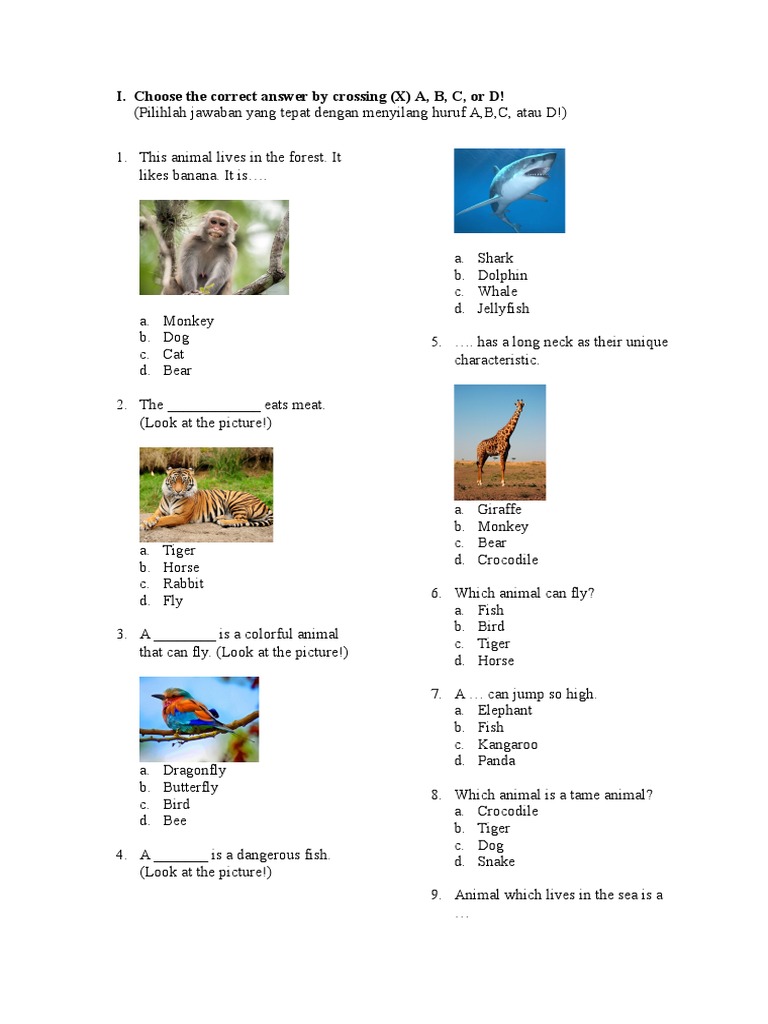 Multiple Choice Test Animal | PDF