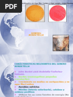 Medio MIO | PDF | Enzima | Química