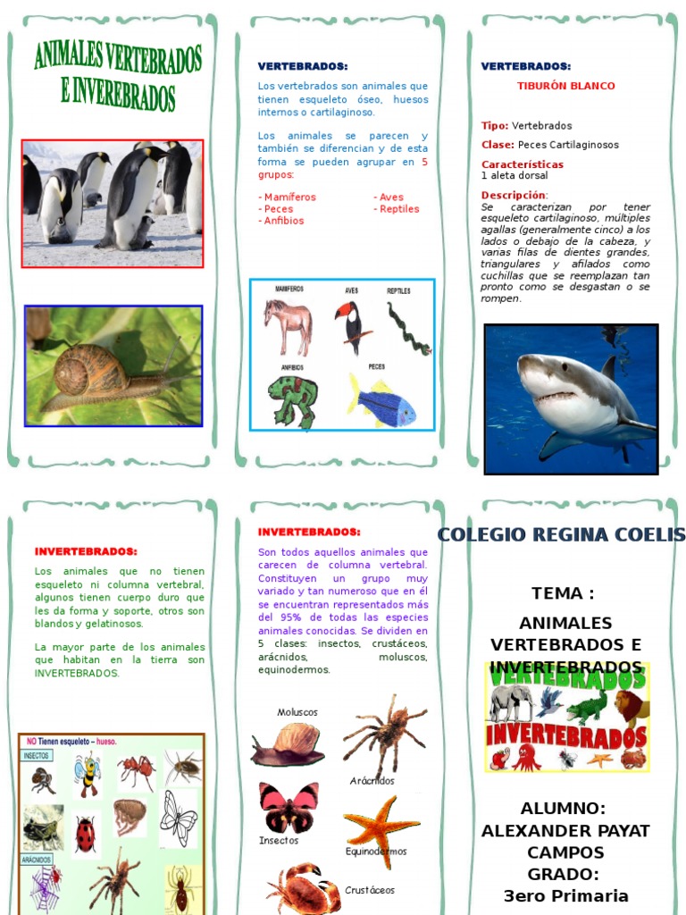 Triptico - Animales Vertebrados e Invertebrados
