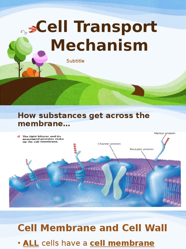 p3 - Cellular Transport Mechanism | PDF | Cell Membrane | Ion Channel