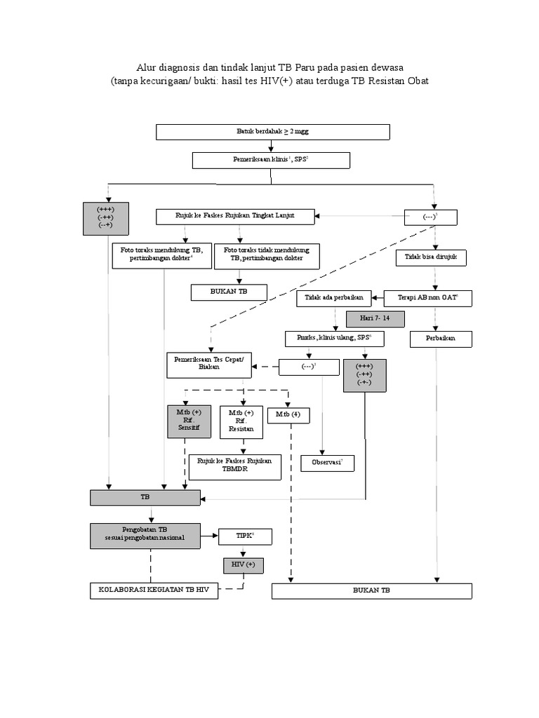 Bagan Alur Diagnosis TB | PDF | Pengembangan Diri