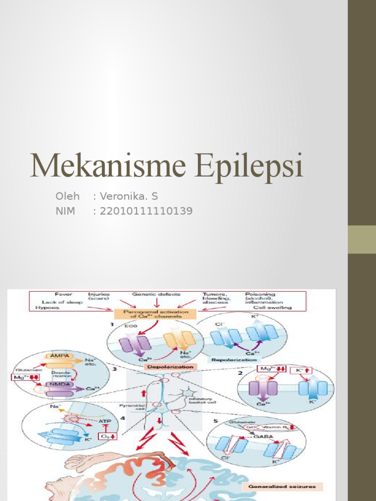 Mekanisme Epilepsi | PDF