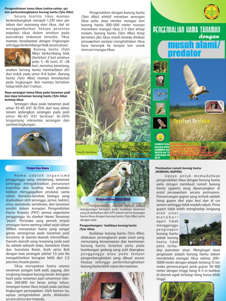 Pengendalian Hama Tanaman Dengan Musuh Alami Predator | PDF