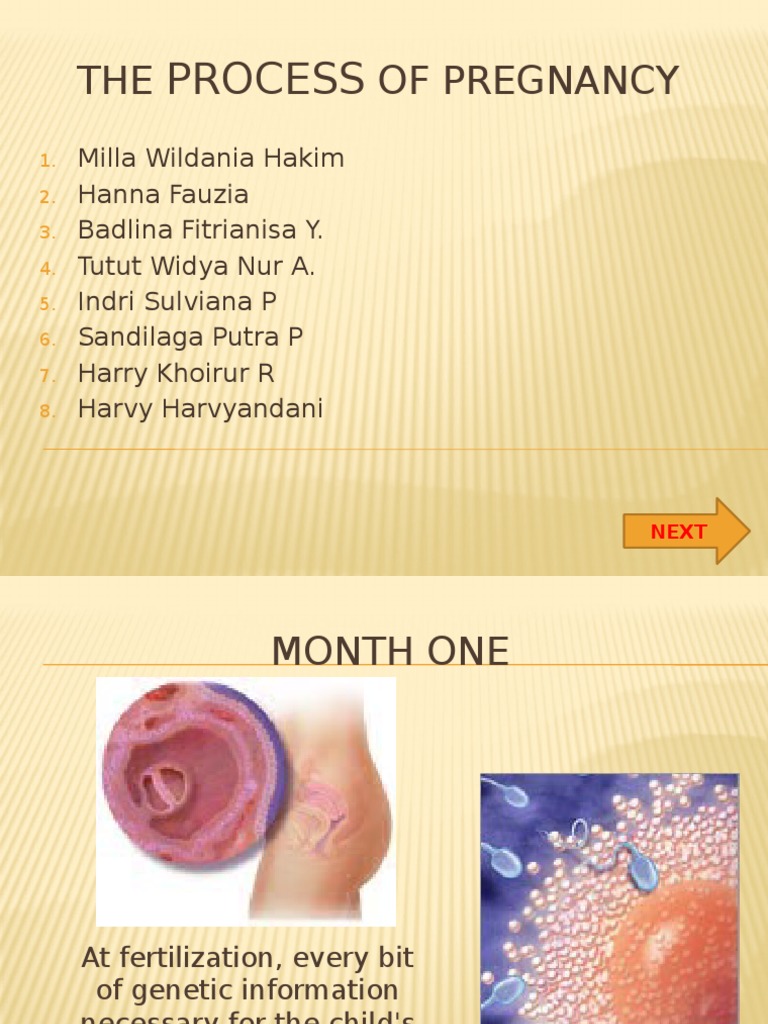 The Process of Pregnancy | PDF