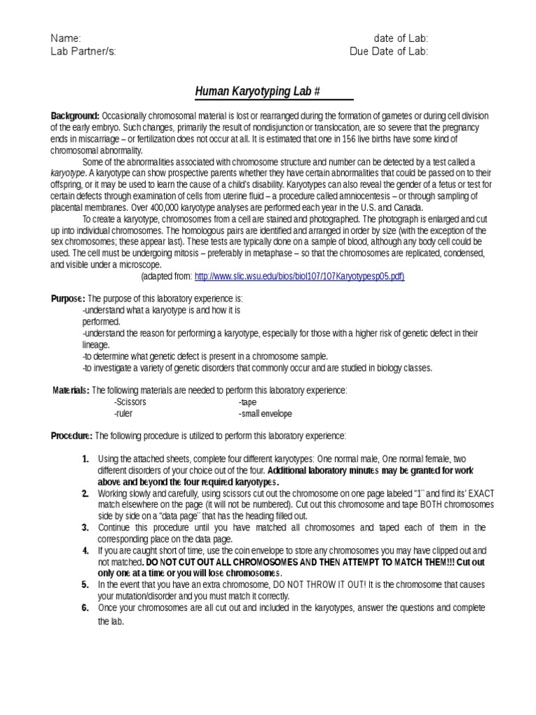 9 Human Karyotyping Activity | Download Free PDF | Karyotype | Chromosome