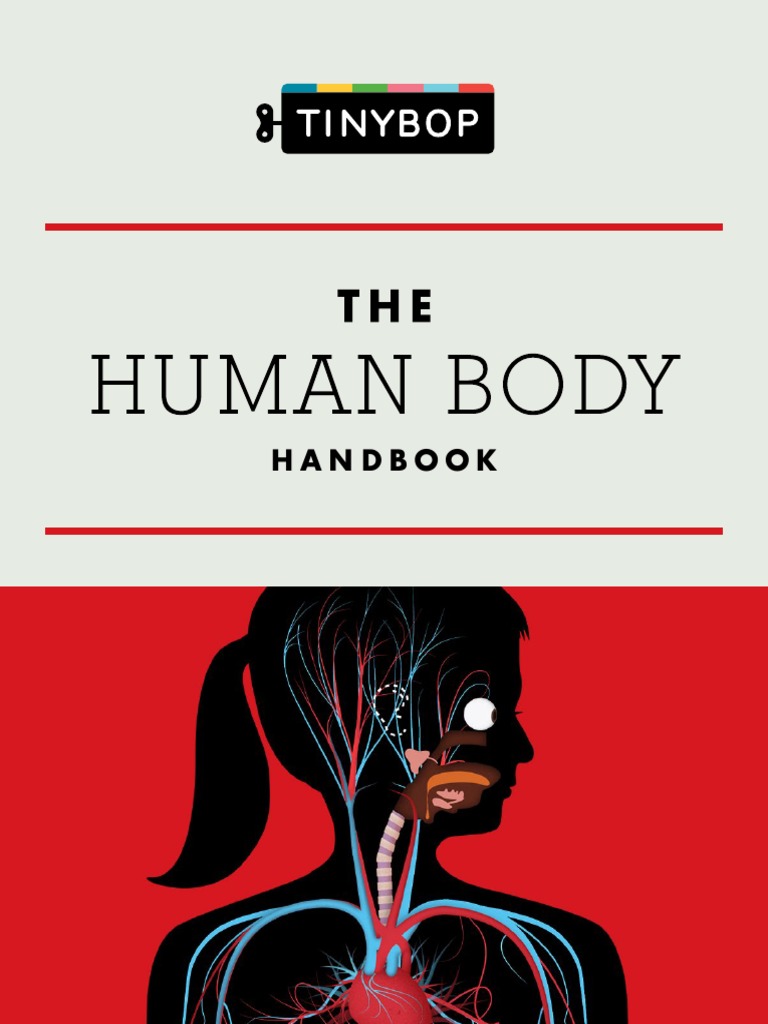 Human Body Handbook | PDF | Heart | Human Digestive System