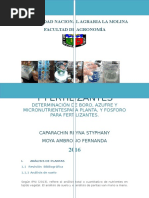 Matriz Efe y Efi | PDF | Coca Cola | Marca