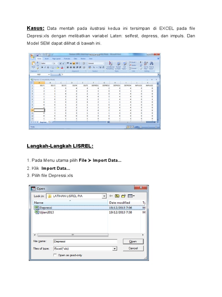Panduan LISREL Untuk Import Data EXCEL | PDF