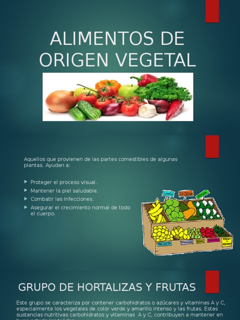Alimentos de Origen Vegetal | PDF | Phaseolus Vulgaris | Cereales