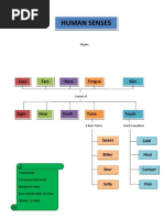 My Five Senses Labels | PDF