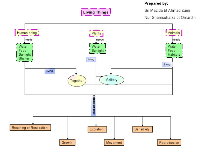 Mind Map of Living Things and Needs | PDF