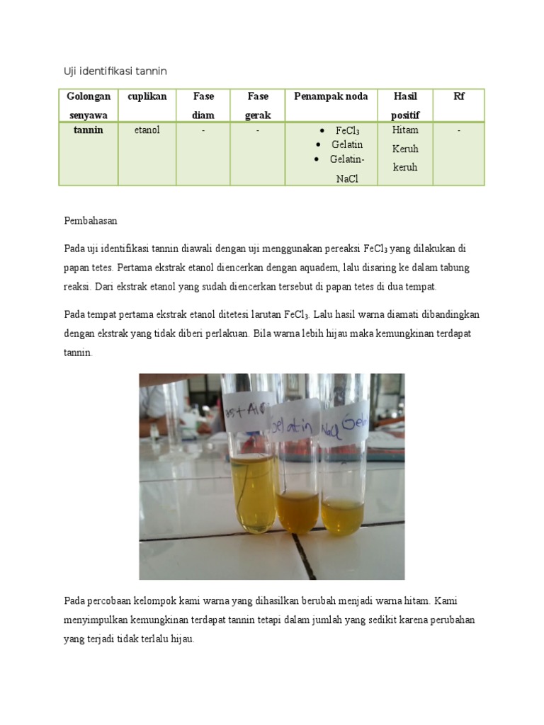 Uji Identifikasi Tannin dengan FeCl3 | PDF