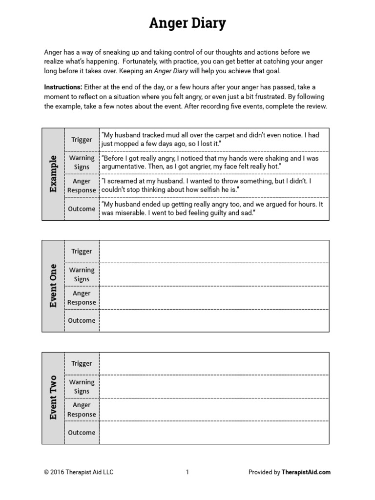 Anger Diary:Evalutaion | PDF