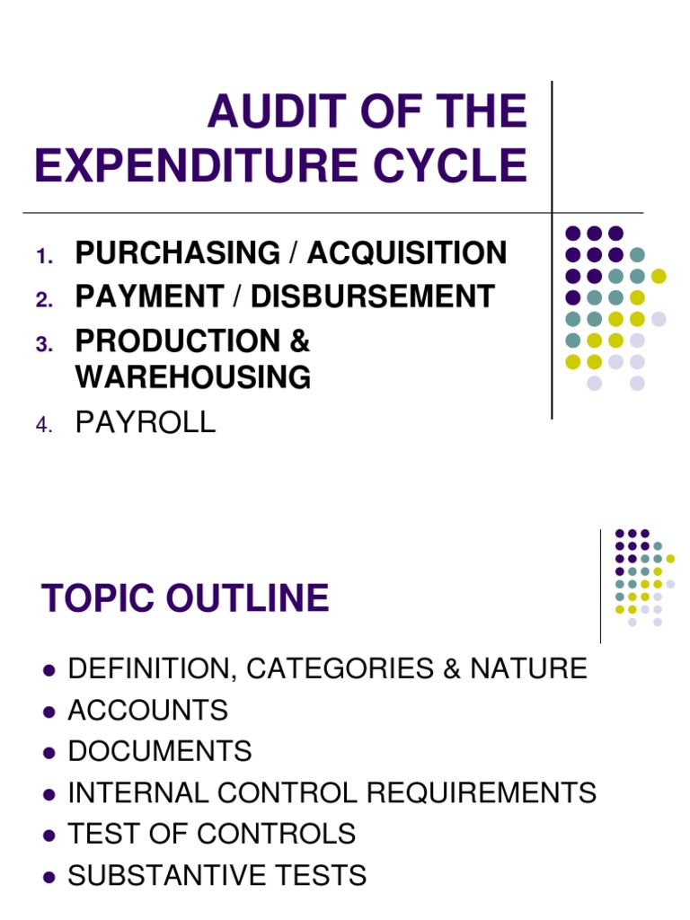5 - Audit of Purchasing Disbursement Cycle | Accounts Payable | Cheque