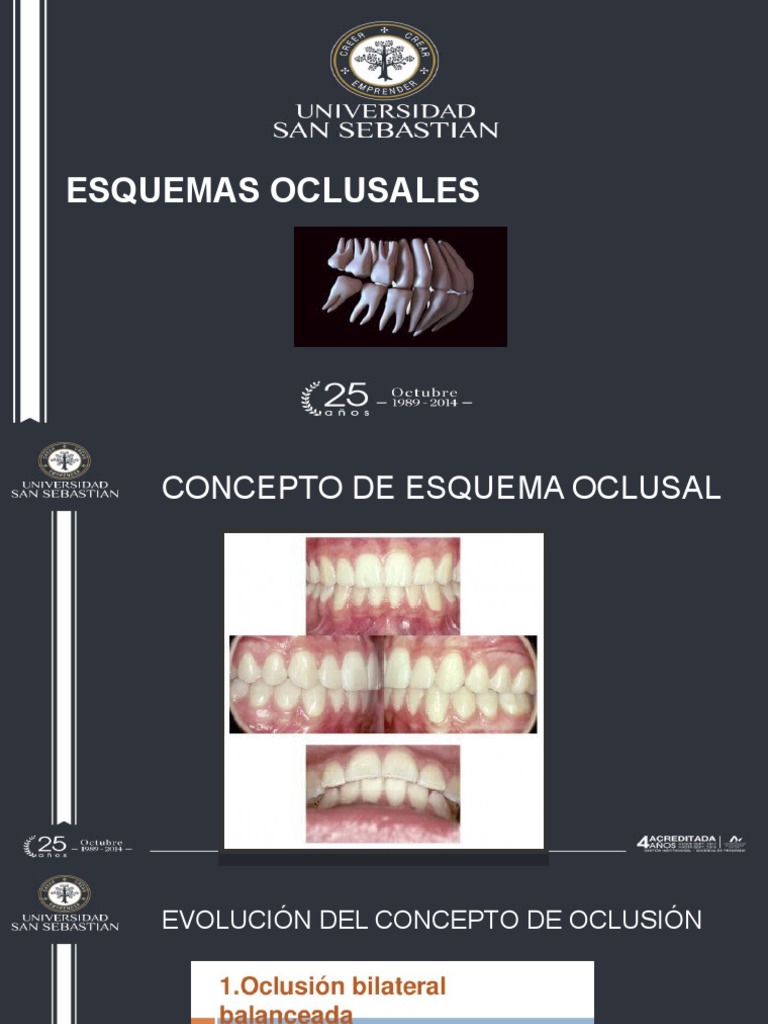 Presentacion Esquemas Oclusales | Diente humano | Músculo