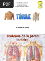 Tipos de tórax y sus características | PDF | Salud y bienestar | Historia