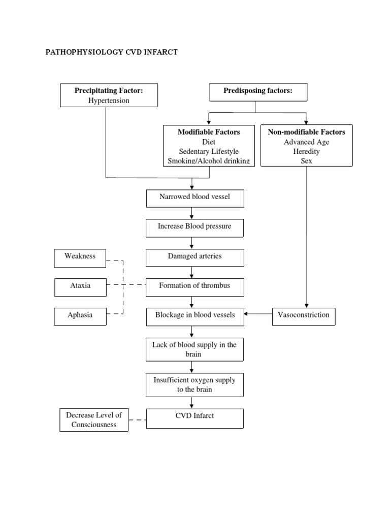 Pathophysiology CVD Infarct | PDF