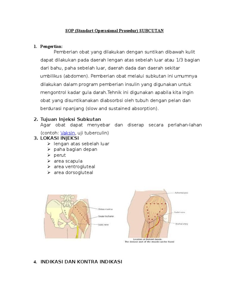 Sop Injeksi SC | PDF