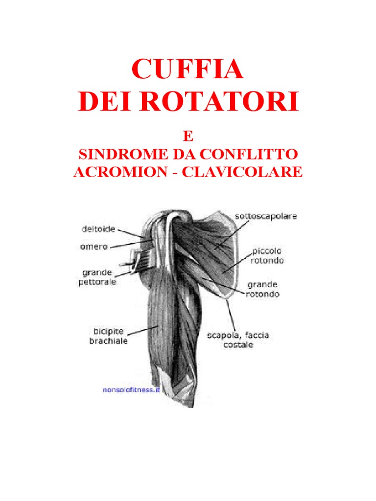 Cuffia Dei Rotatori