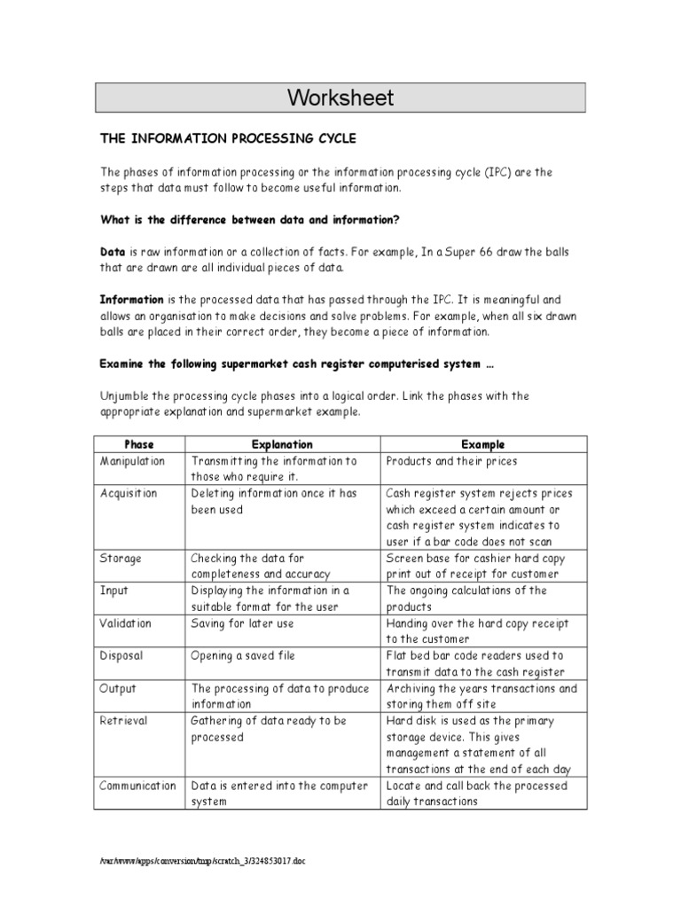 Worksheet: The Information Processing Cycle | PDF