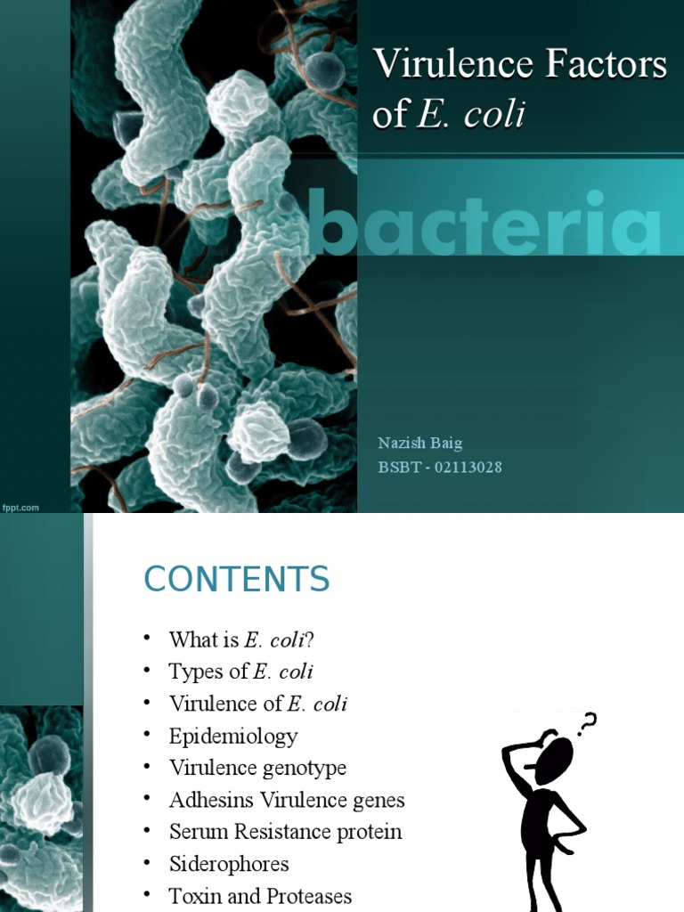 Virulence Factor of E. Coli | Escherichia Coli | Virulence