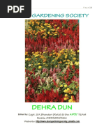 Dasheen Bush Guide | PDF | Leaf