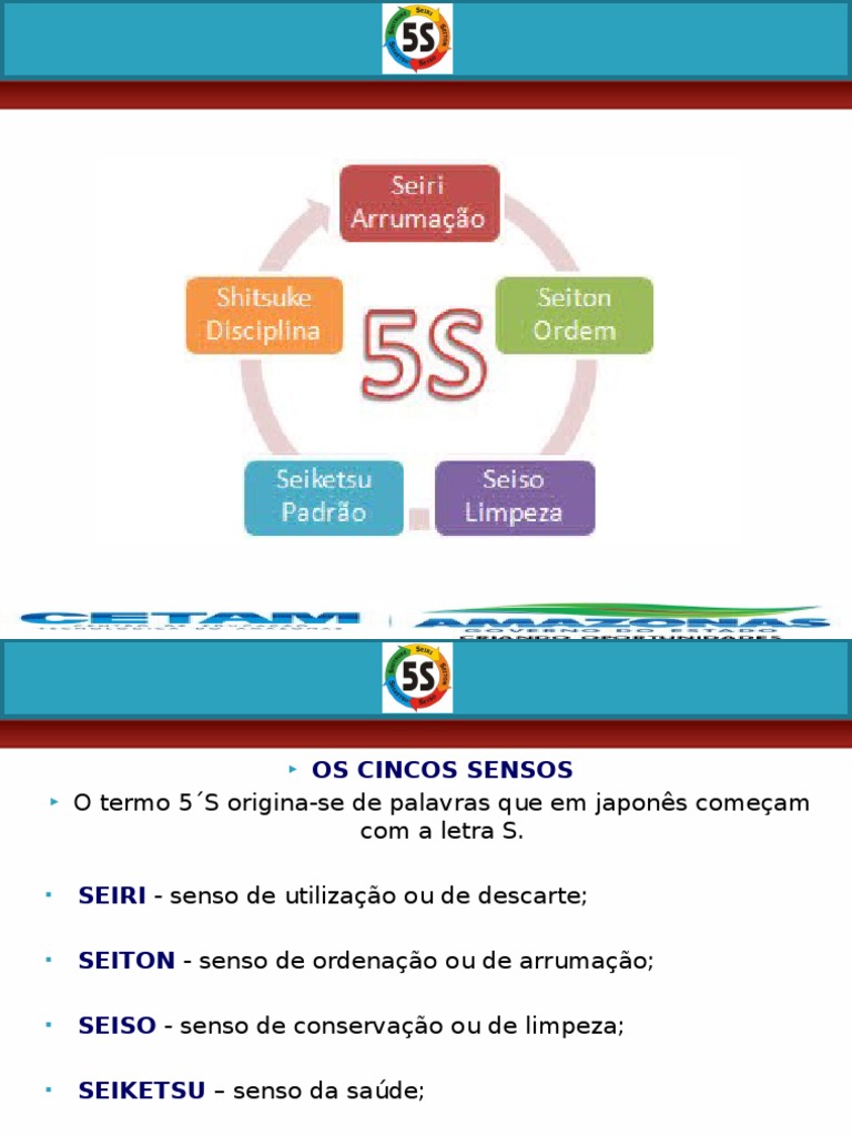 Apresentação - 5S | Download grátis PDF | Padronização | Qualidade ...