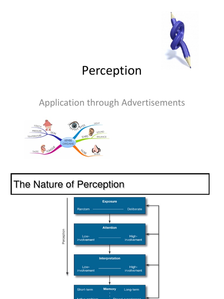 Perception 2016 PPPT PDF | PDF
