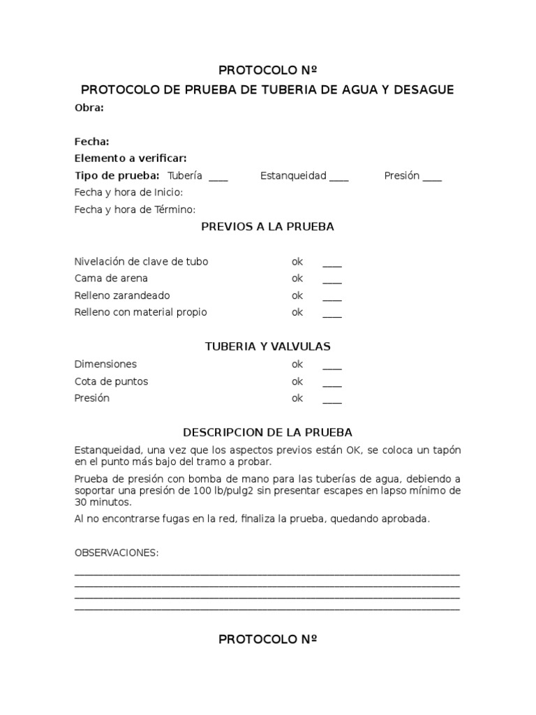 Protocolos de Pruebas Hidraulicas | PDF