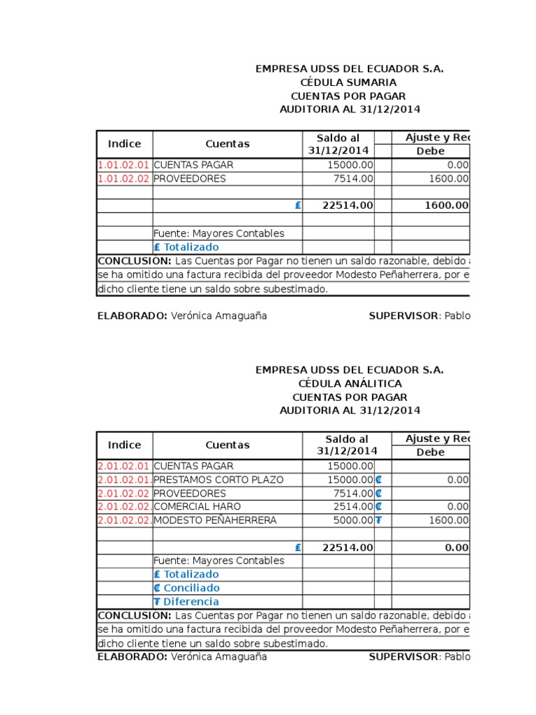 Cedulas Sumarias Analiticas Cuentas X Cobrar | PDF | Contabilidad financiera | Contabilidad