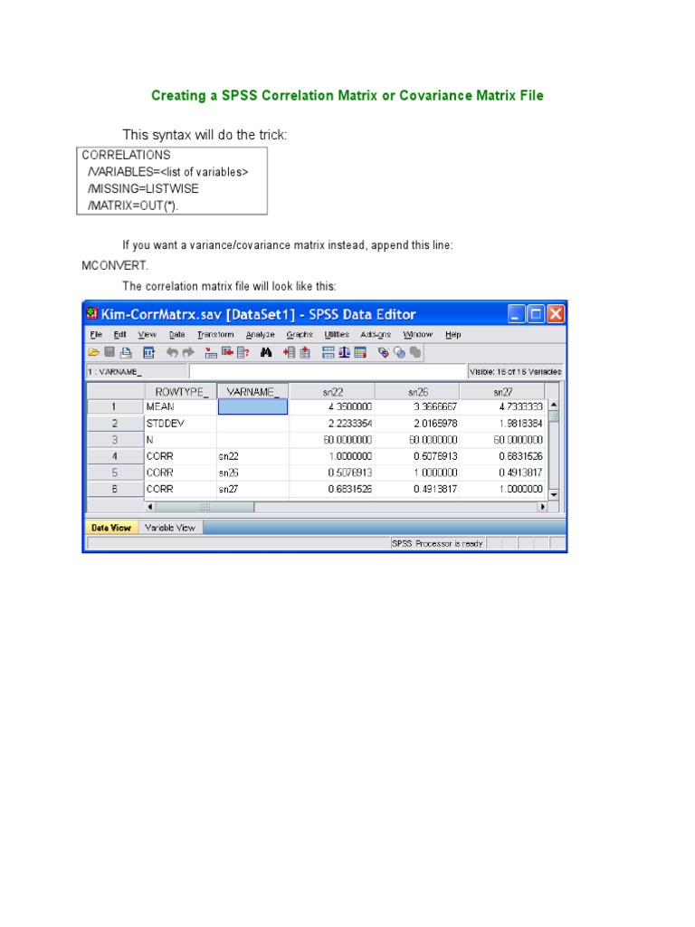 Correlation Matrix Output SPSS | PDF