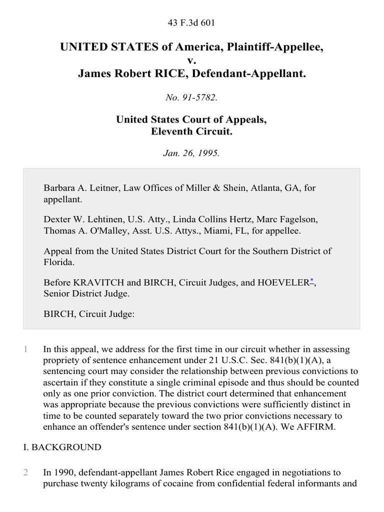 United States v. James Robert Rice, 43 F.3d 601, 11th Cir. (1995) | PDF ...