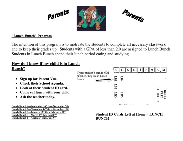 Lunch Bunch Program for Struggling Students | PDF