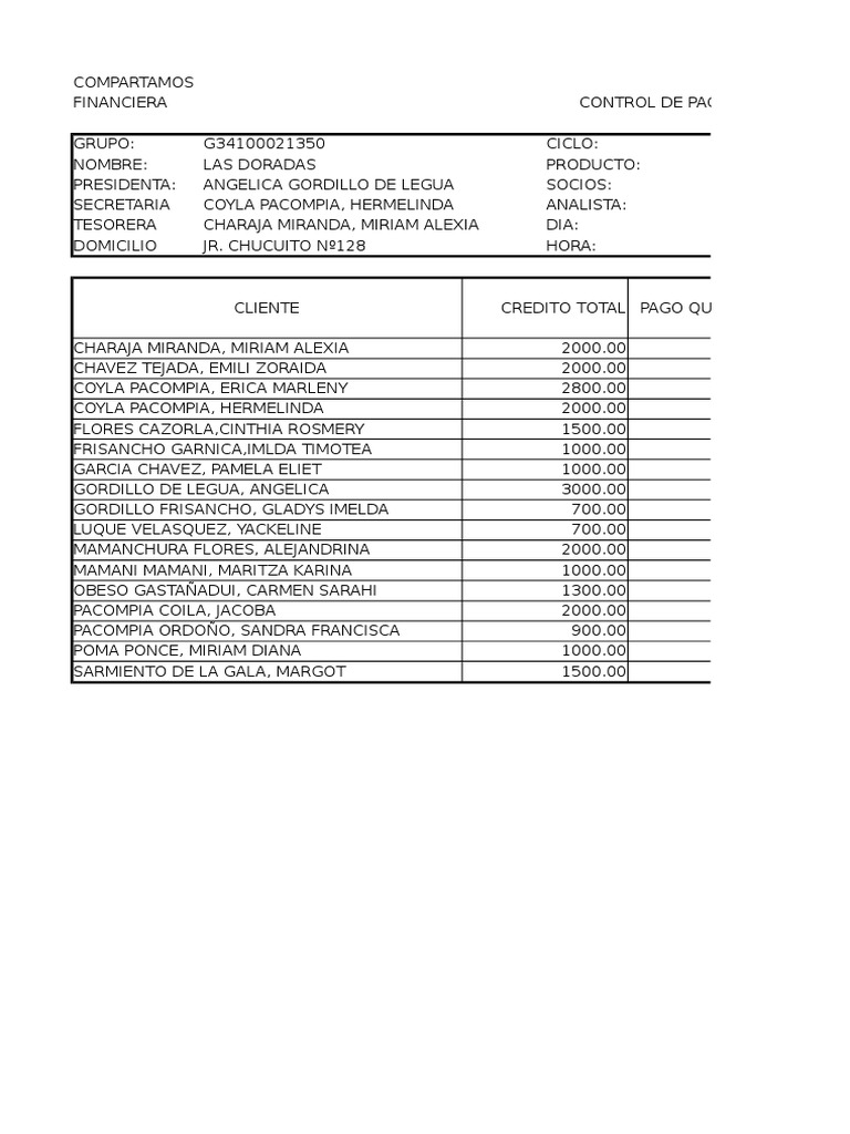 Control de Pagos | PDF