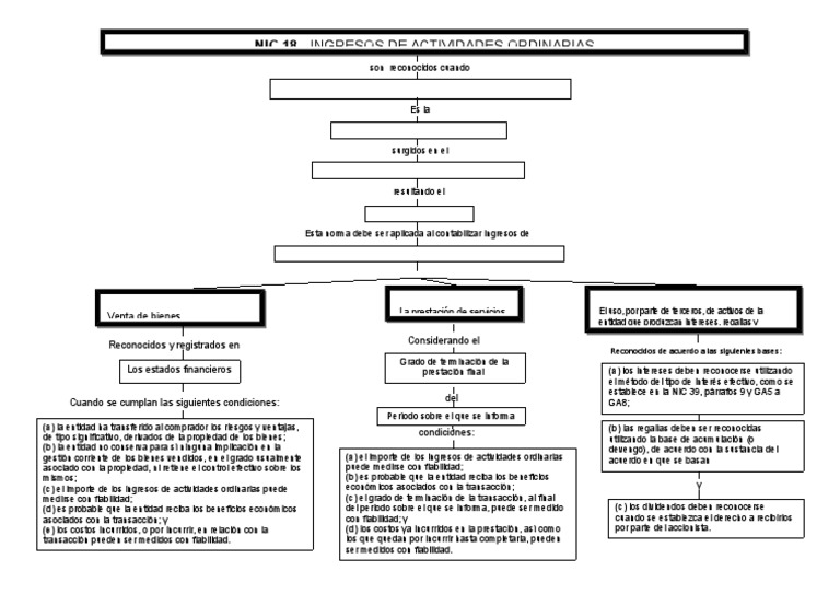 Mapa Conceptual NIC 18 | PDF