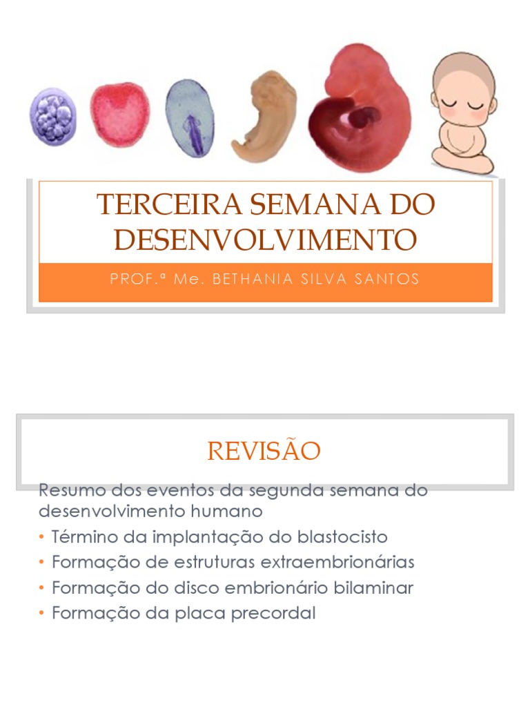 Terceira Semana do Desenvolvimento Embrionário | PDF | Biologia de ...