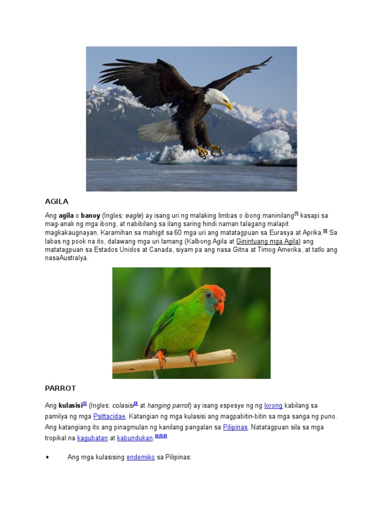 AGILA | PDF