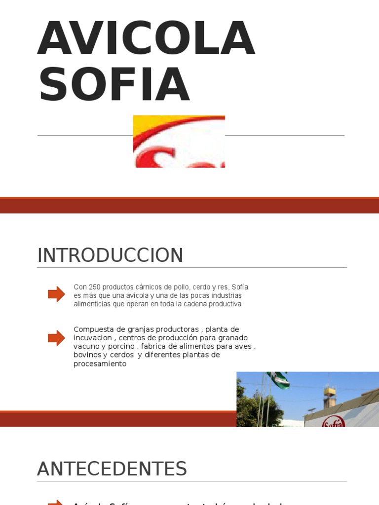 Avícola Sofía: Una empresa líder en la producción y procesamiento de alimentos de pollo, cerdo y ...