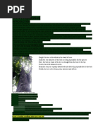 Tree Planting Guide: Site and Species Selection | PDF | Plant Nursery ...